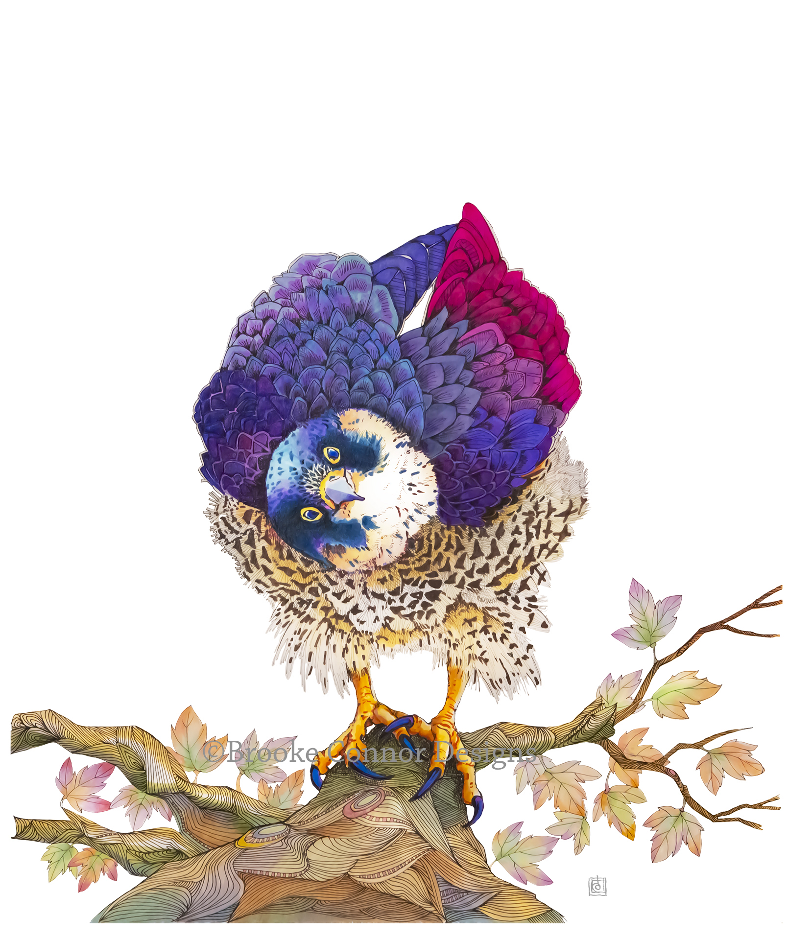 Brooke Connor - The Evergreen Gallery Whimsical Animal Illustration Artist